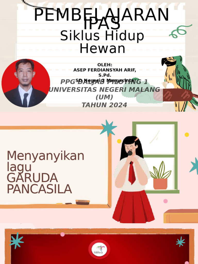 Presentasi Pendidikan Siklus Hidup Manusia Dan Hewan Gaya Kolase Rapi ...