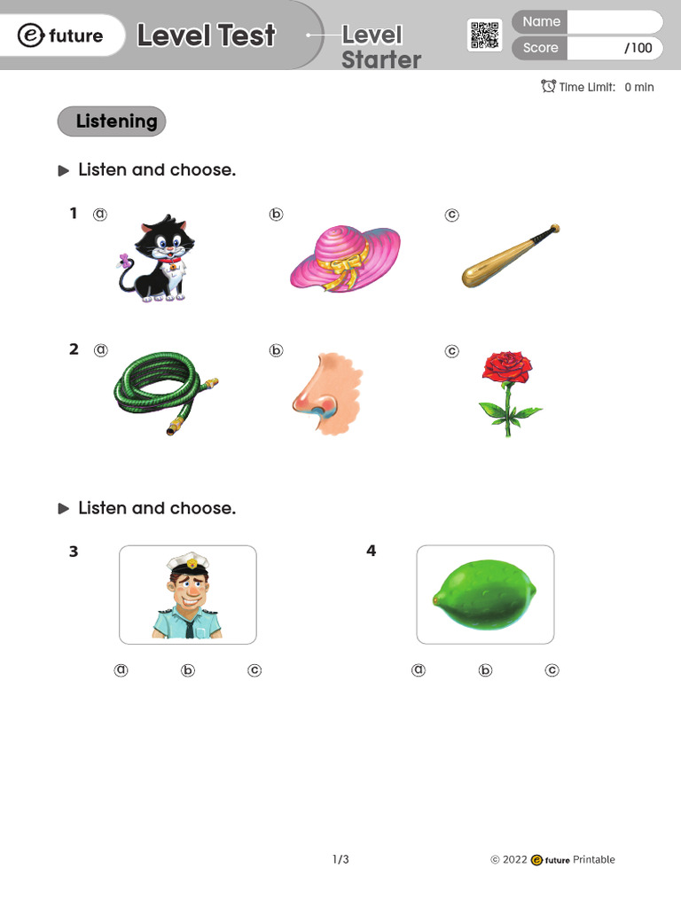 Level Test_Level Starter | PDF