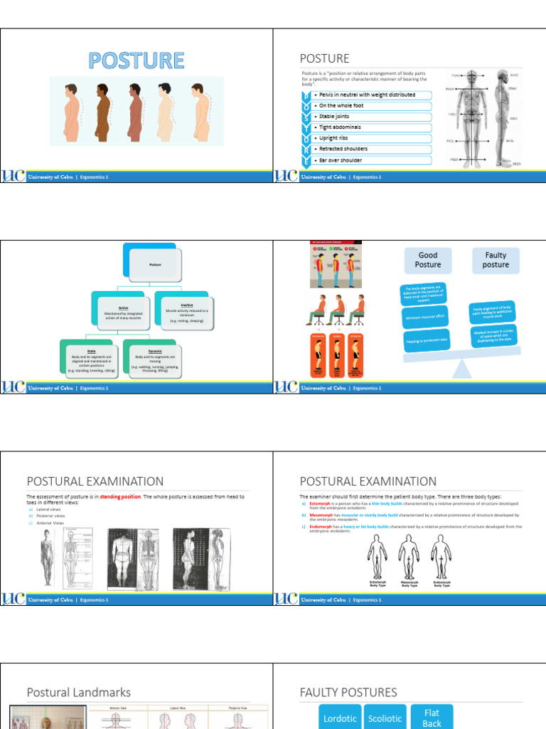 Posture and MSDs Midterm Coverage | PDF