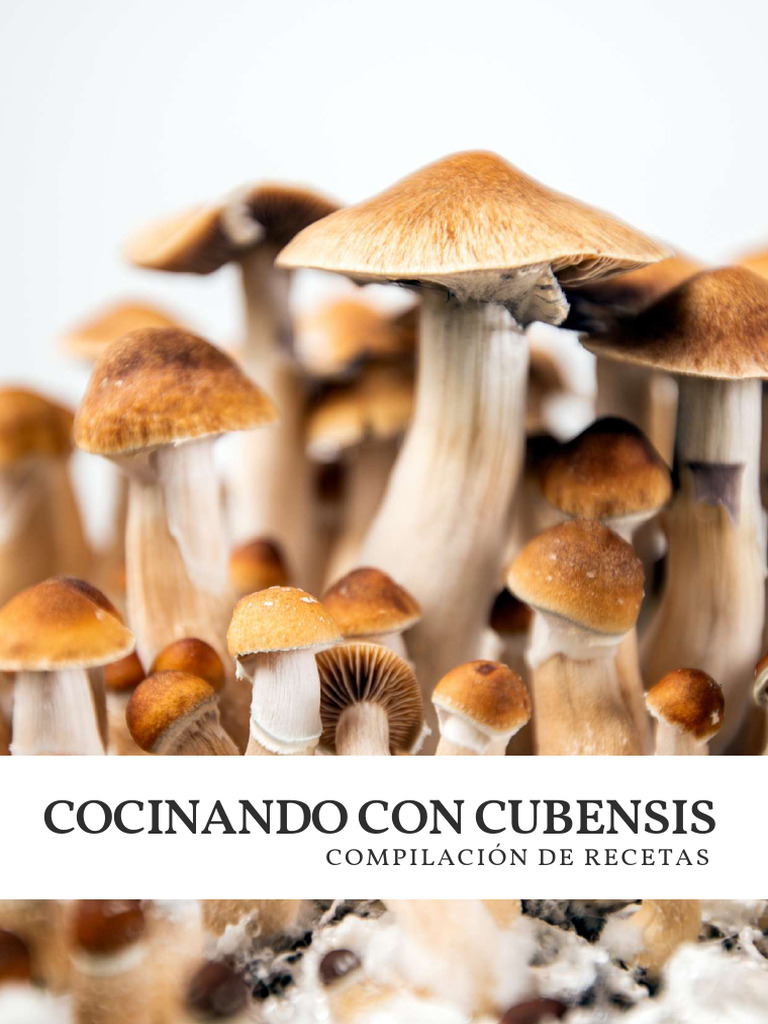 Cocinando Con Hongos Mágicos Final 2 - Compressed | PDF