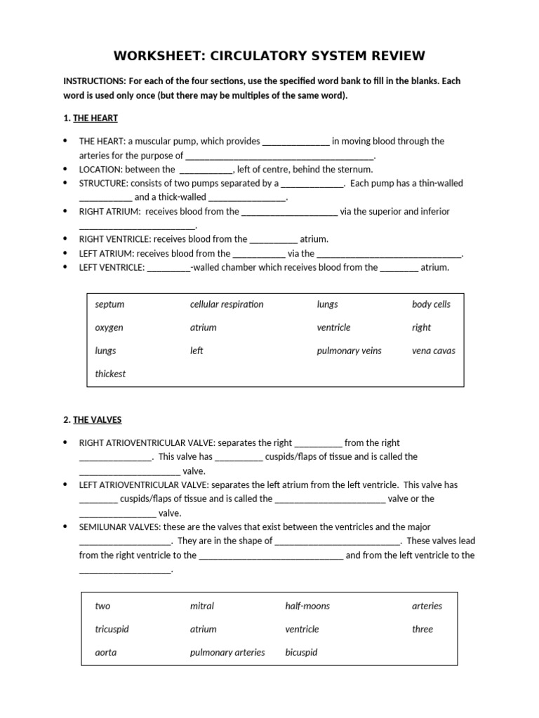 Worksheet - Circulatory System Review | PDF