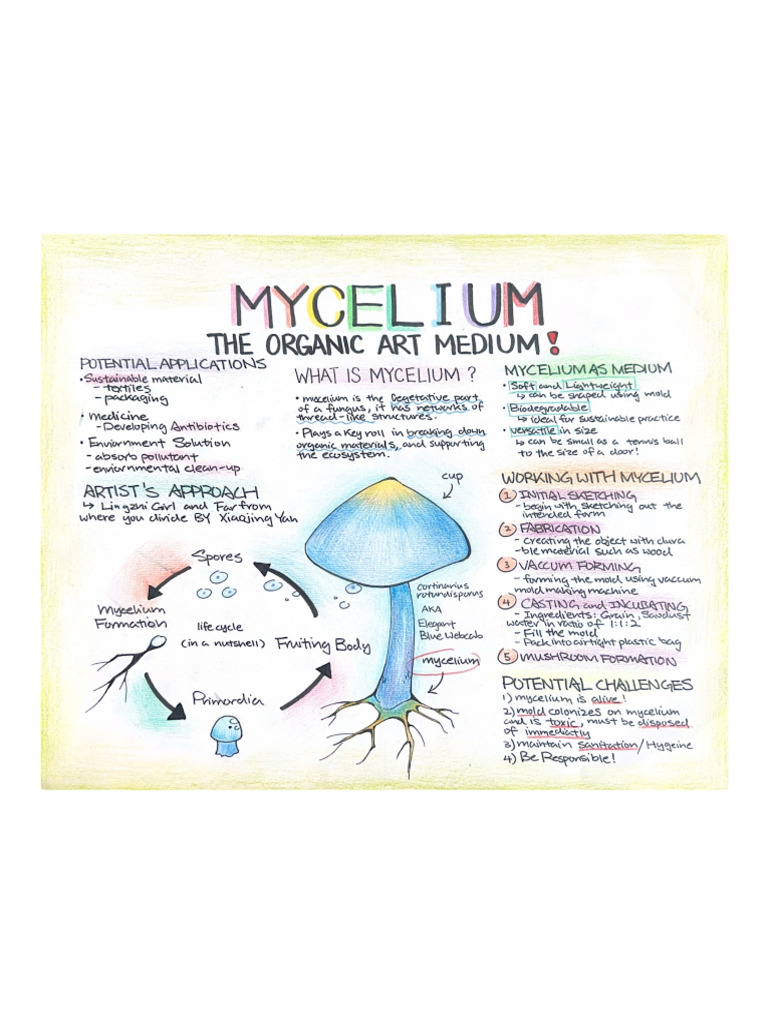 Mycelium | PDF