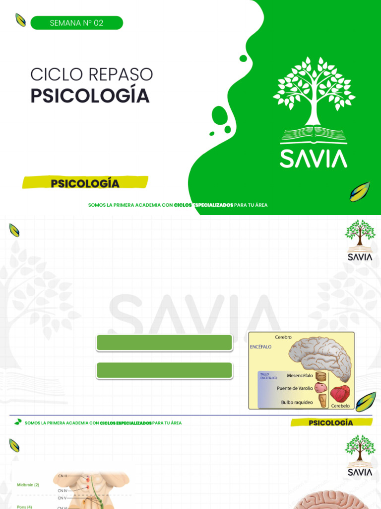 Psicologia Sem02 425 - 115433 | PDF
