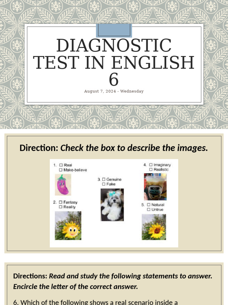Diagnostic Test in English 6 | PDF