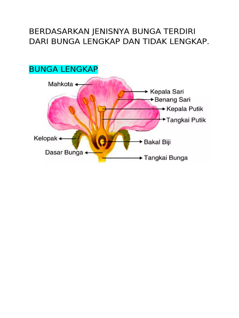 Berdasarkan Jenisnya Bunga Terdiri Dari Bunga Lengkap Dan Tidak Lengkap ...