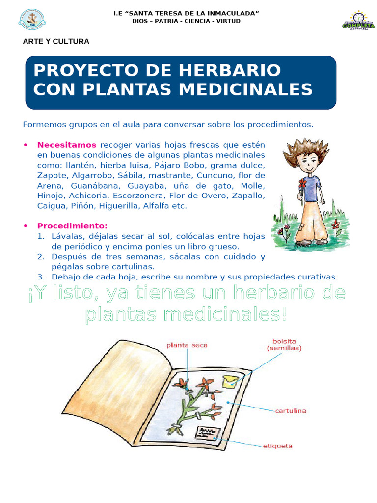 Herbario Con Plantas Medicinales | PDF