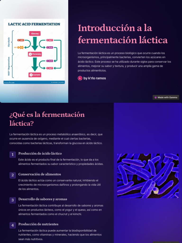 Introduccion A La Fermentacion Lactica | PDF