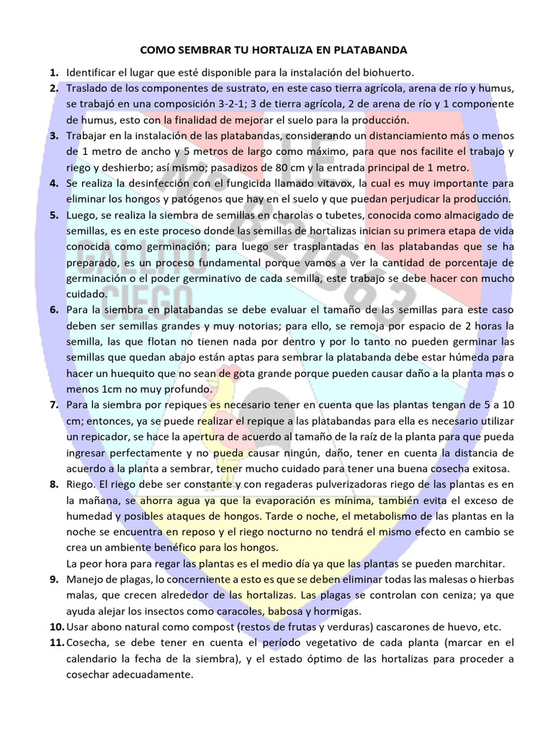 Como Sembrar Tu Hortaliza N Platabanda | PDF