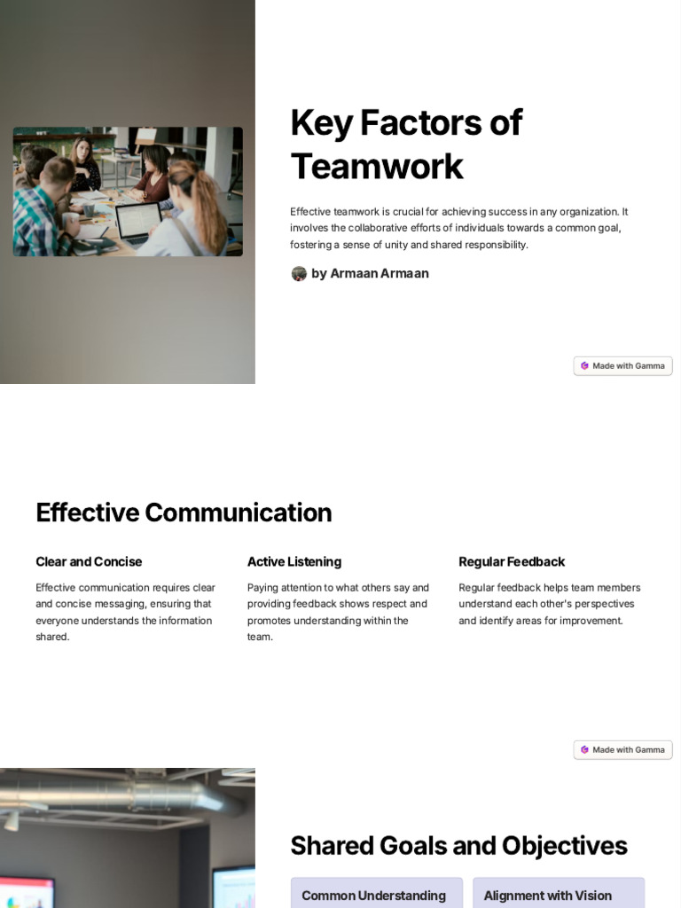 Key Factors of Teamwork | PDF