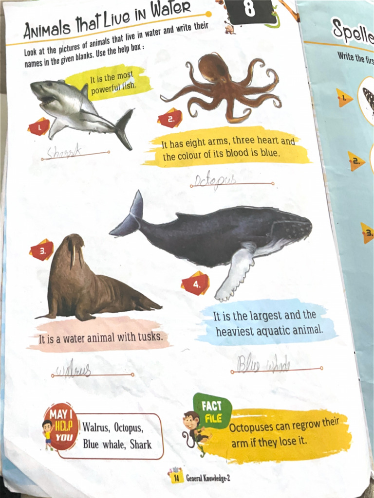 Look at The Pictures of Animals That Live in Water and Write Their | PDF