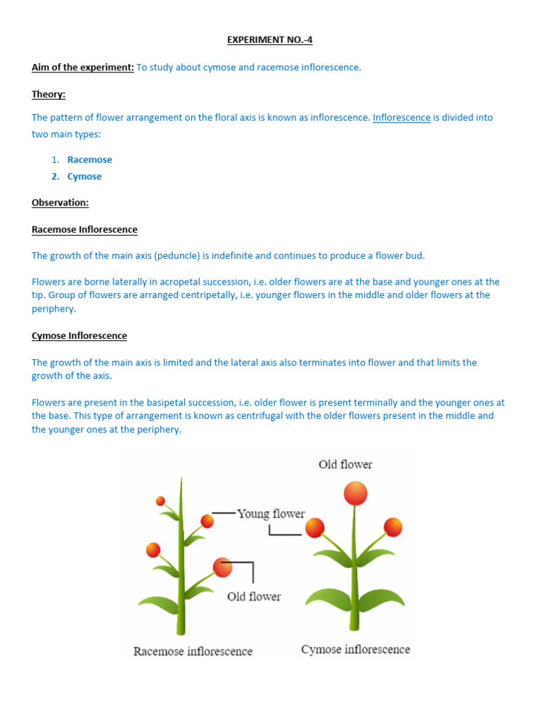 Bio Xi Expt - 4 | PDF