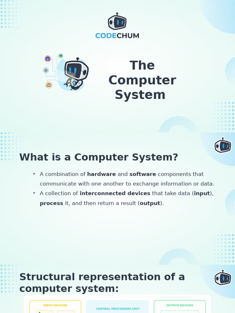 TOPIC 1 The Computer System | PDF