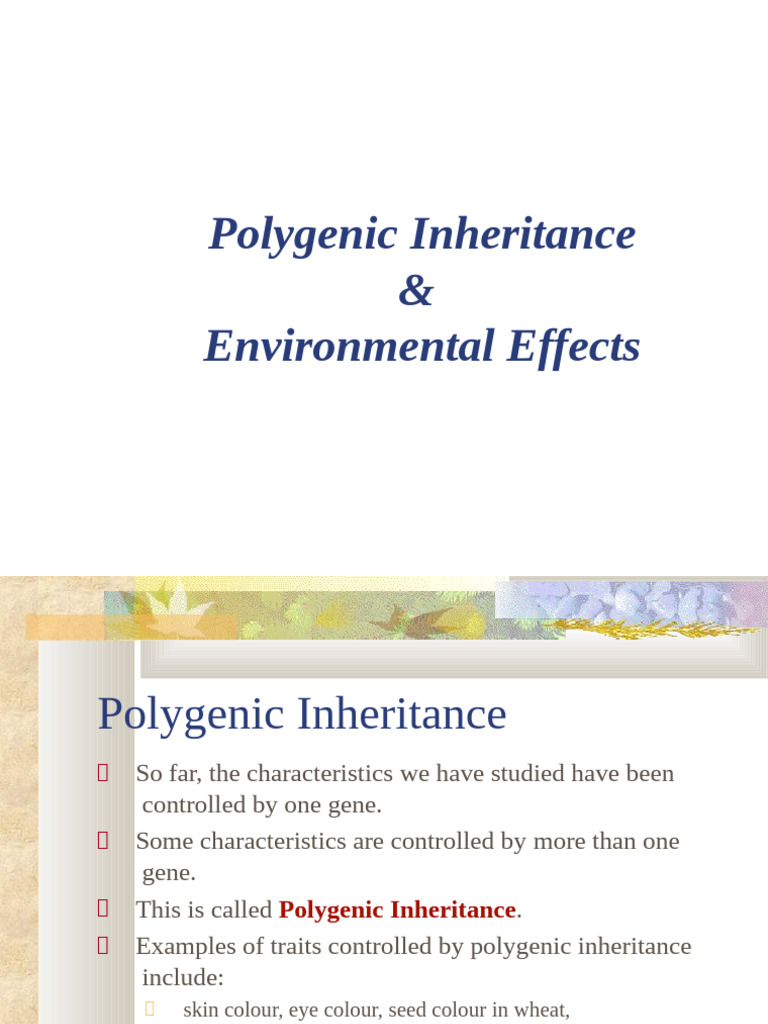Polygenic Inheritance | PDF