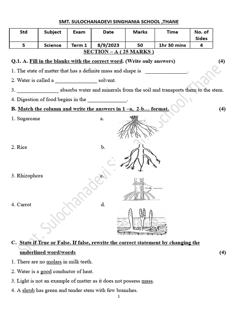 Grade 5 Term 1 Paper 2023-24 | PDF