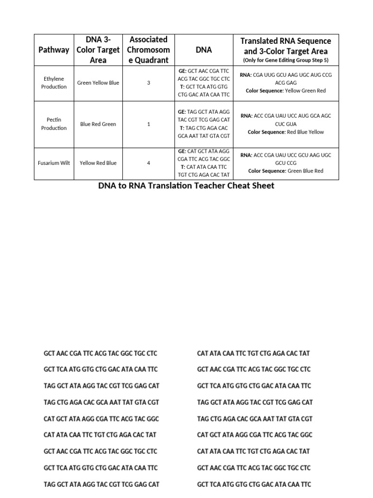 Dna To Rna Translation Cheat Sheet | PDF
