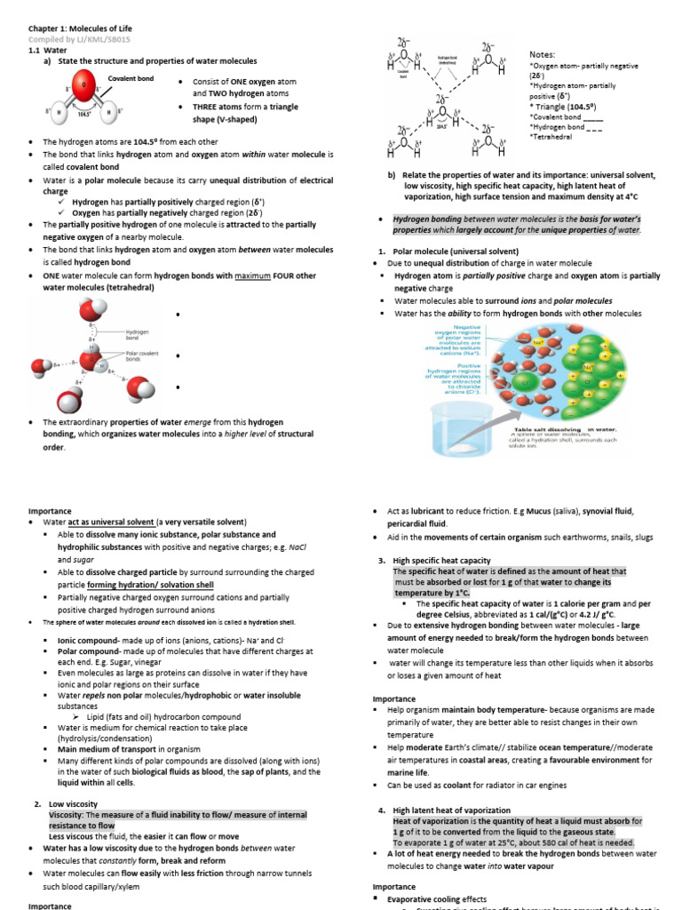 Chapter 1 Molecule of Lifes (1) | PDF