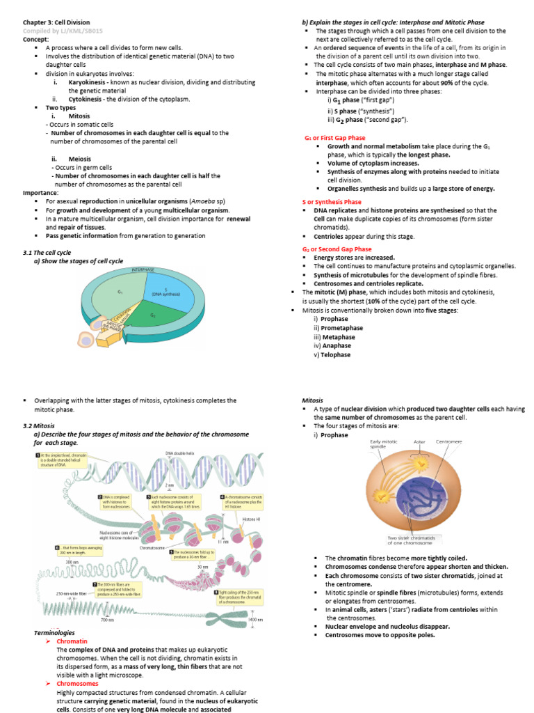 Chapter 3 Cell Division | PDF