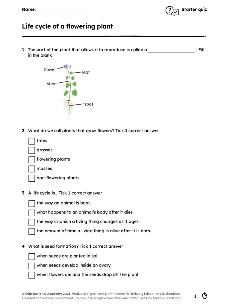 Starter Quiz Questions | PDF