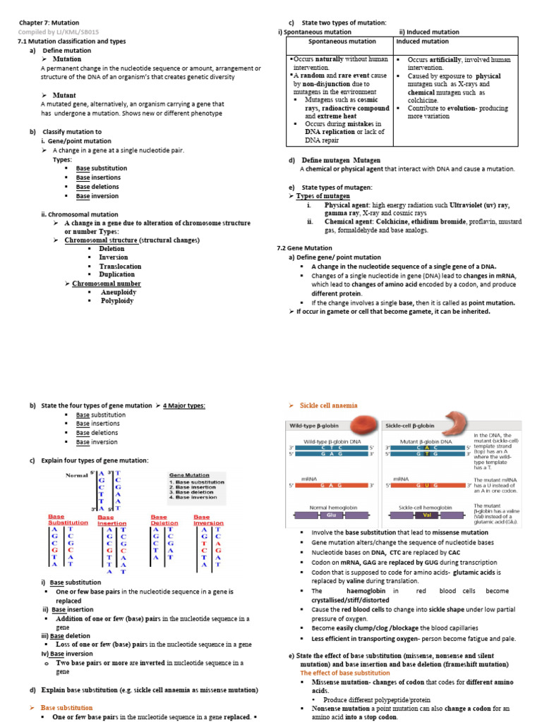 Chapter 7 Mutation | PDF