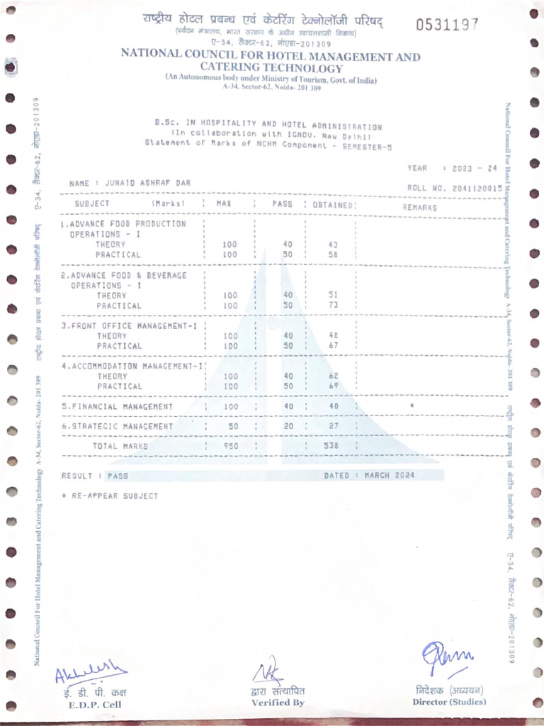 Final Marks Sheet Junaid | PDF