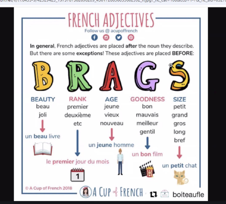 French Adjectives | PDF