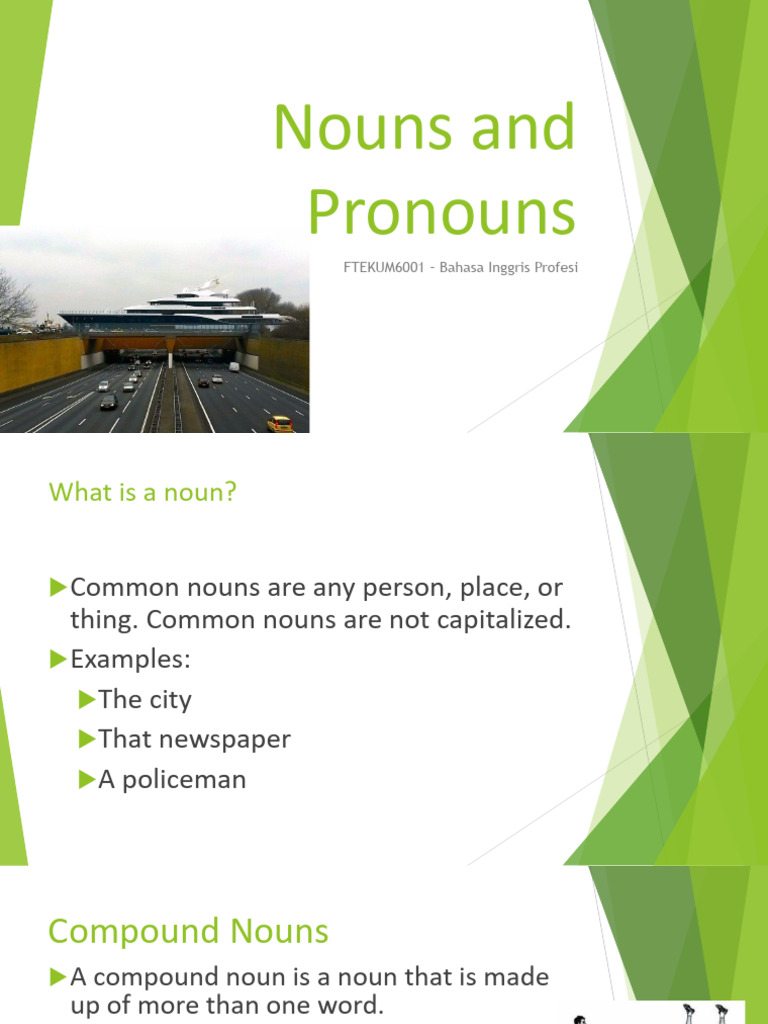 Nouns - and - Pronouns | PDF