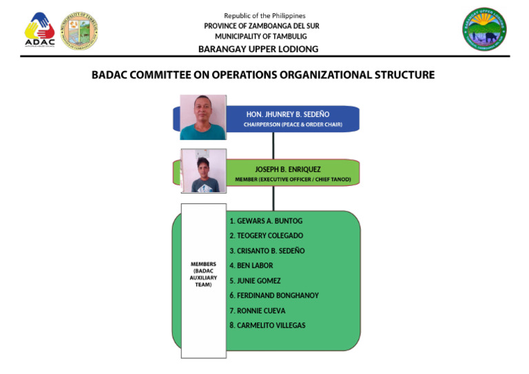 BADAC TEMPLATE - Committee on Operations Organizational Structure | PDF