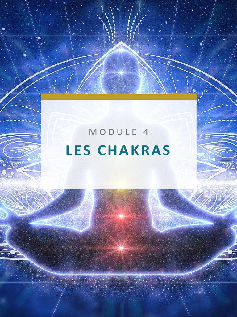 M4 - Les Chakras | PDF