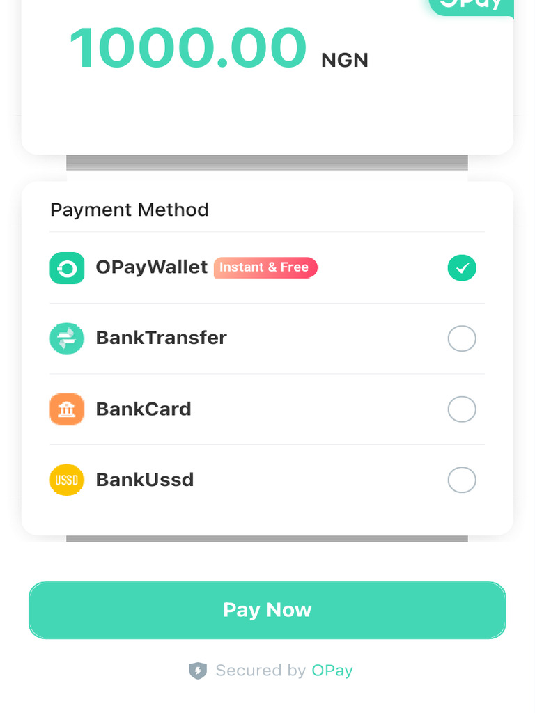 Payment | PDF