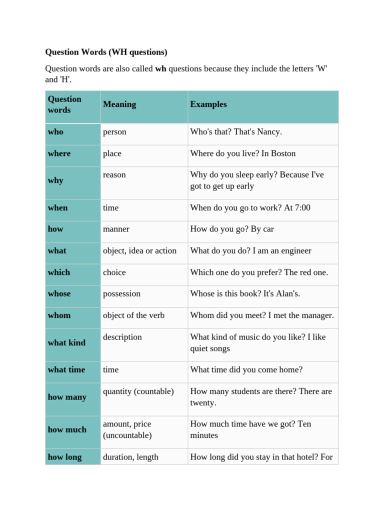 WH Question Sheet | PDF