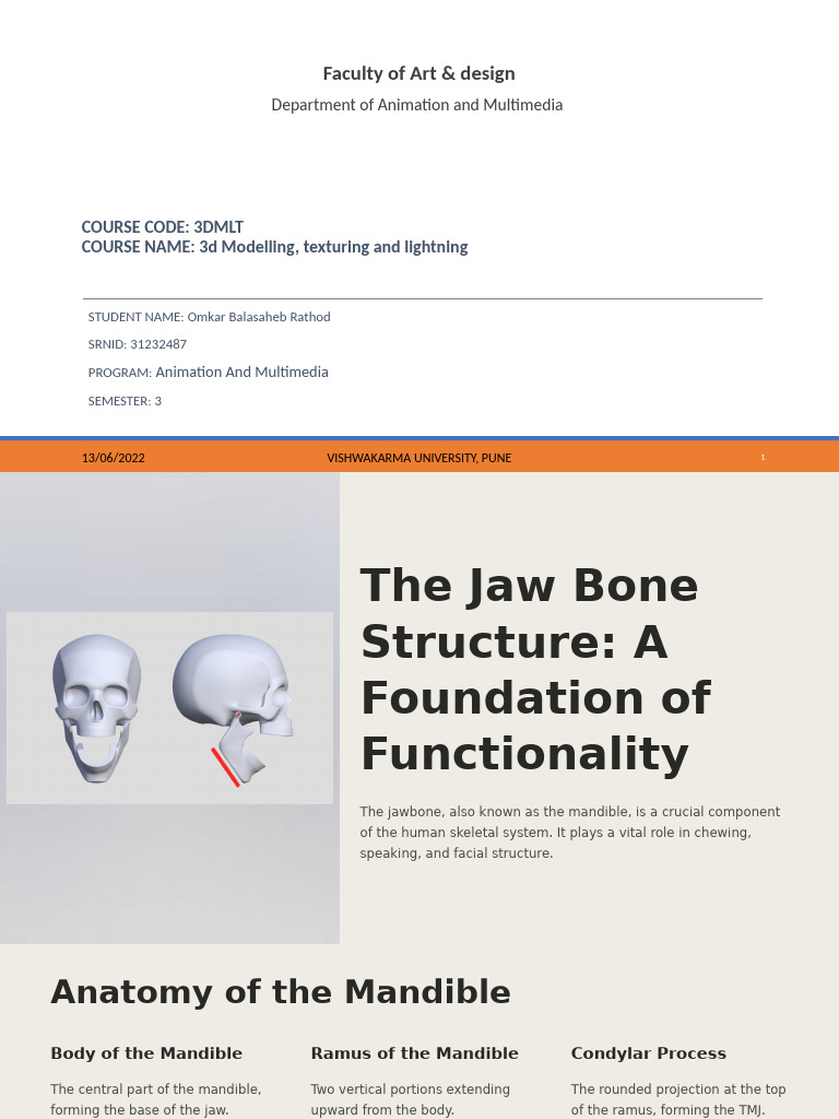 The Jaw Bone Structure A Foundation of Functionality | PDF