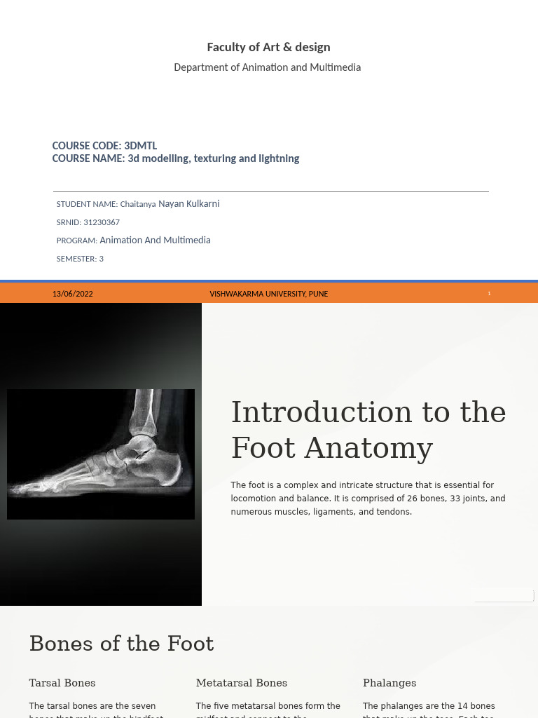 Introduction To The Foot Anatomy | PDF
