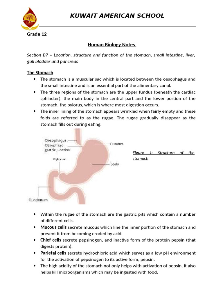 GR 12 B7 Add Notes | PDF
