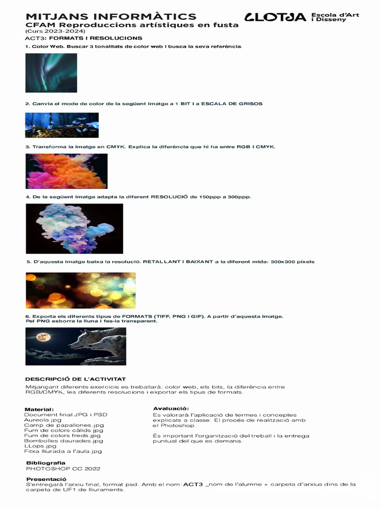 ACT3_formats i Resolucions (3) | PDF