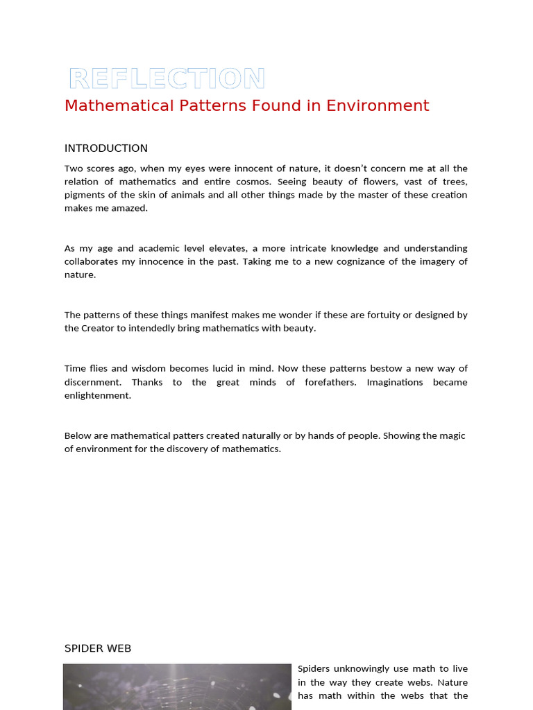 Reflection Paper | PDF