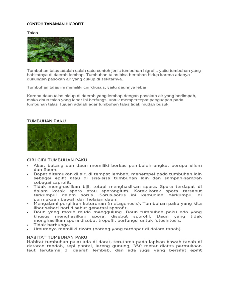 Contoh Tanaman Higrofit | PDF