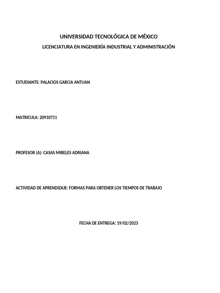 Formato para Entregables Antuan 2 | PDF