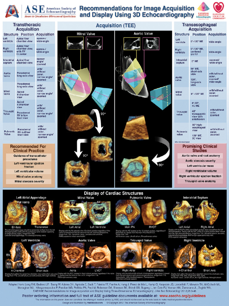 @ ASE Posters 2023 4 | PDF