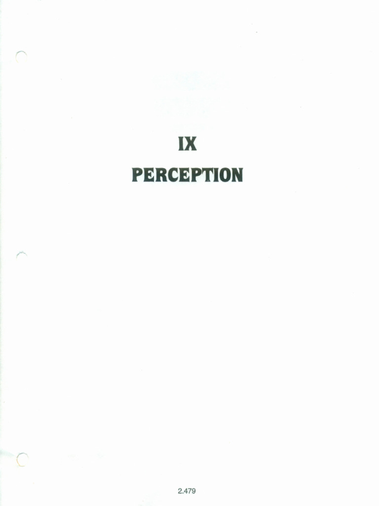 Perception | PDF