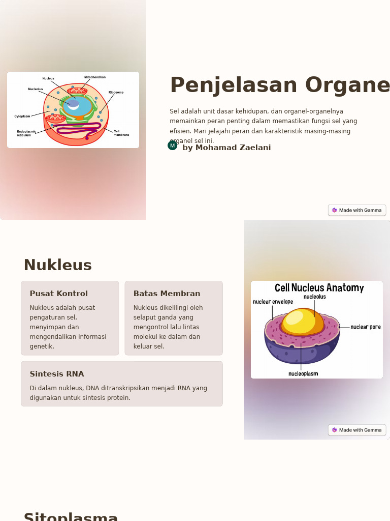 Penjelasan Organel Sel | PDF