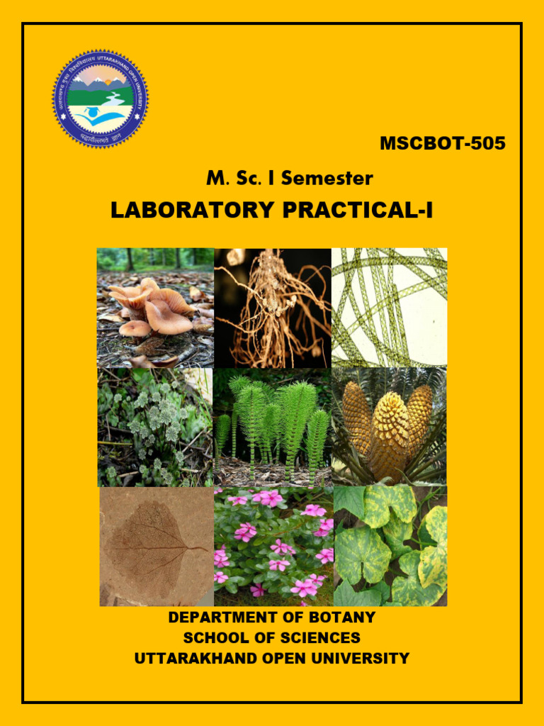 Mscbot 505 (L) | PDF