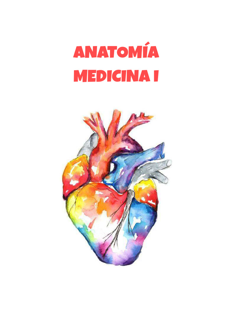 Anatomía Medicina I | PDF