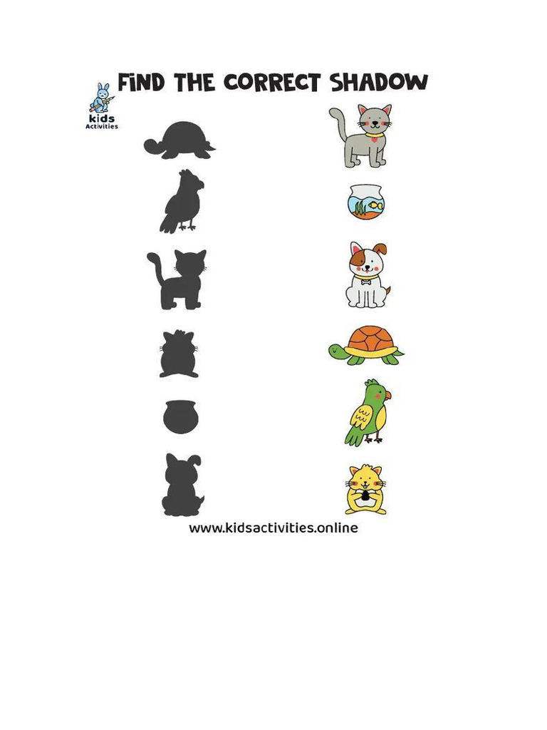 Guess The Shadow. 14 Copias Color | PDF