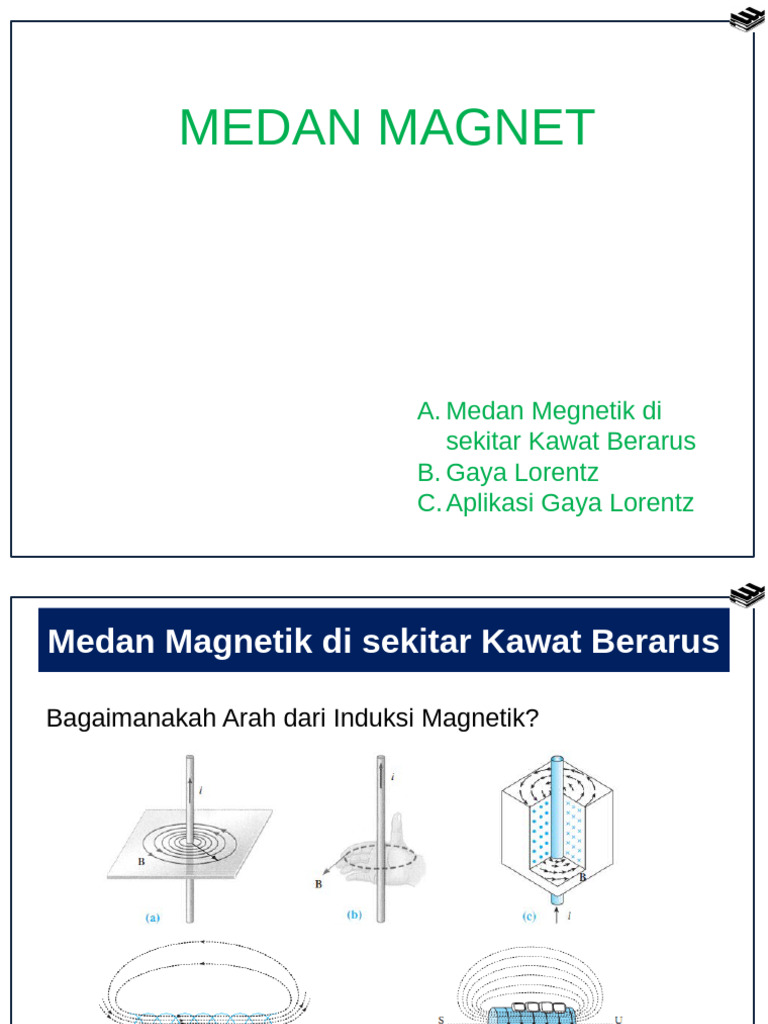 MEDAN MAGNET | PDF