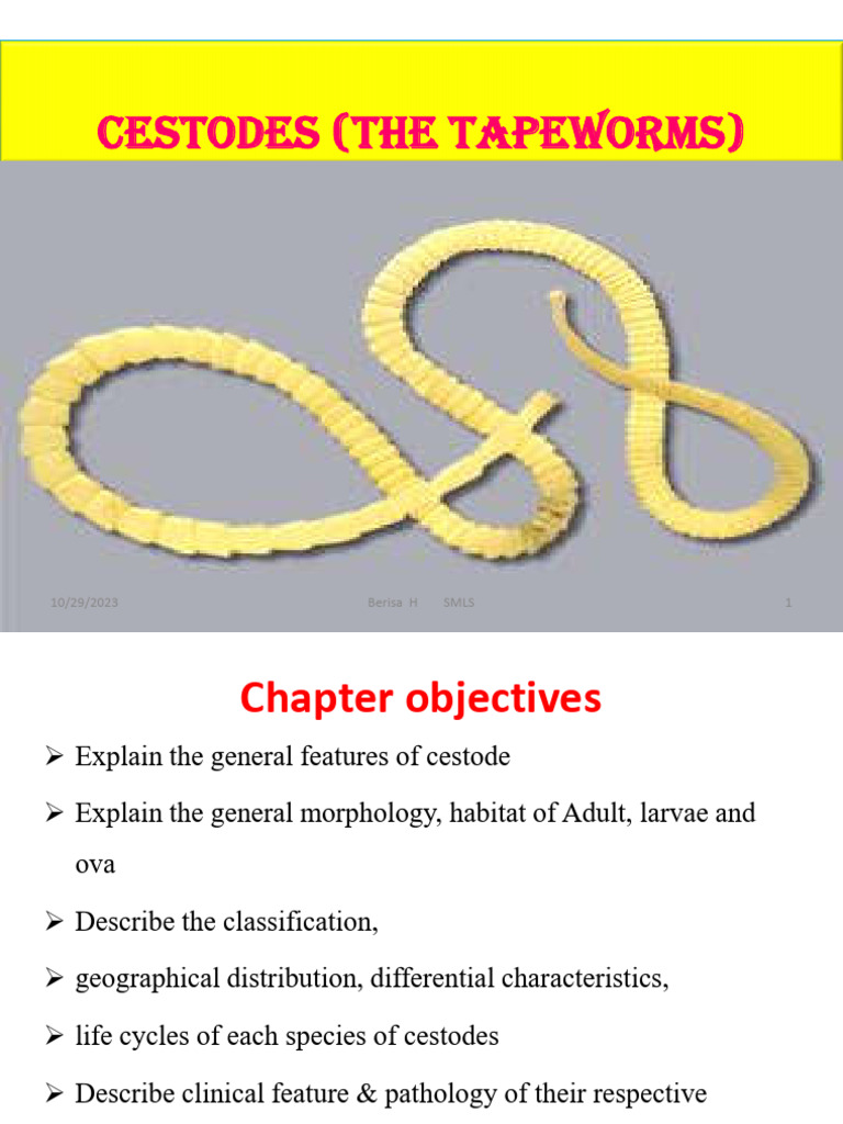 Cestode | PDF