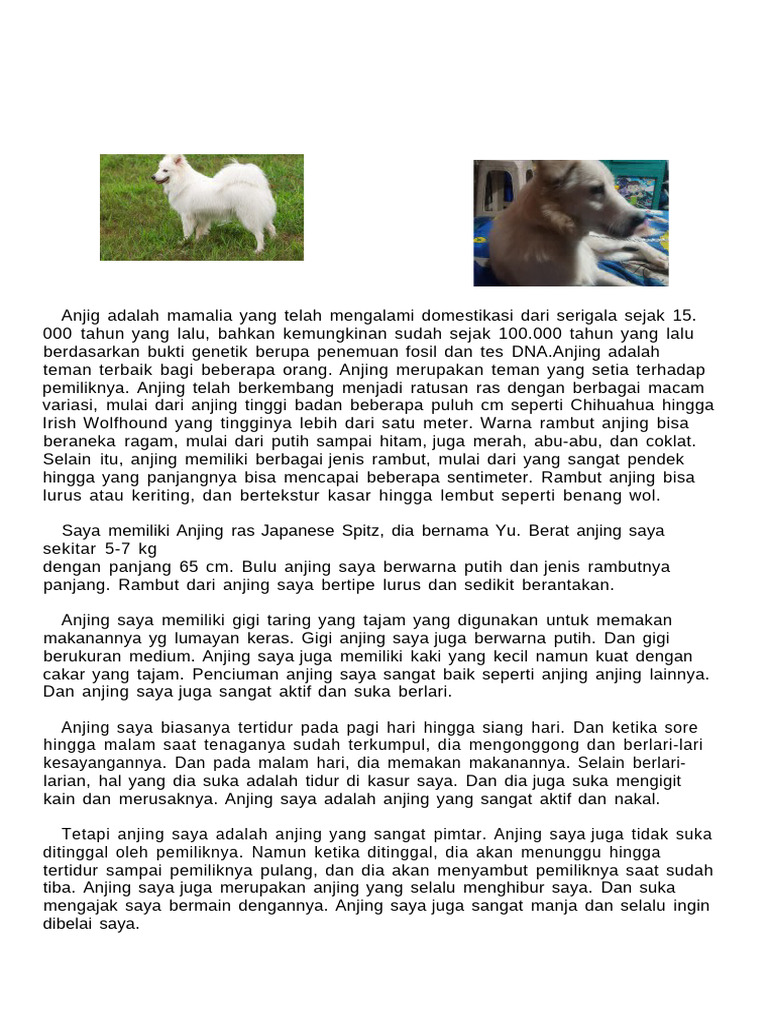 Dokumen PDF Baru-WPS Office | PDF