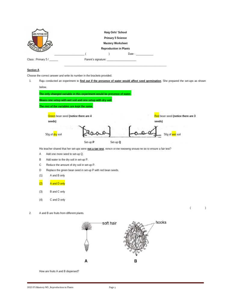 2023 Mastery WS - P5 Sci - Plant Reproduction - Edited | PDF
