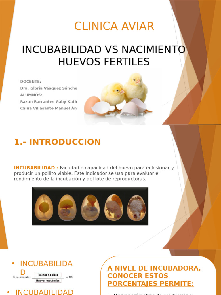 Incubabilidad VS Nacimiento de Huevos Fertiles. Clinica Aviar. Grupo 1 ...