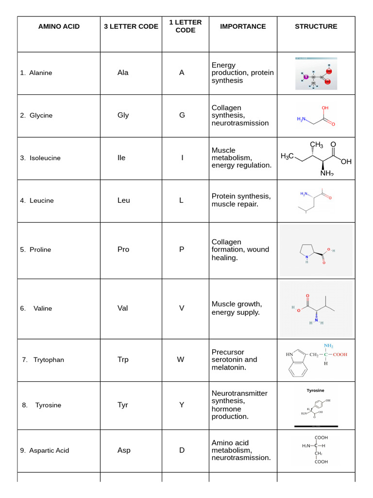 Amino Acids: Codes & Functions | PDF