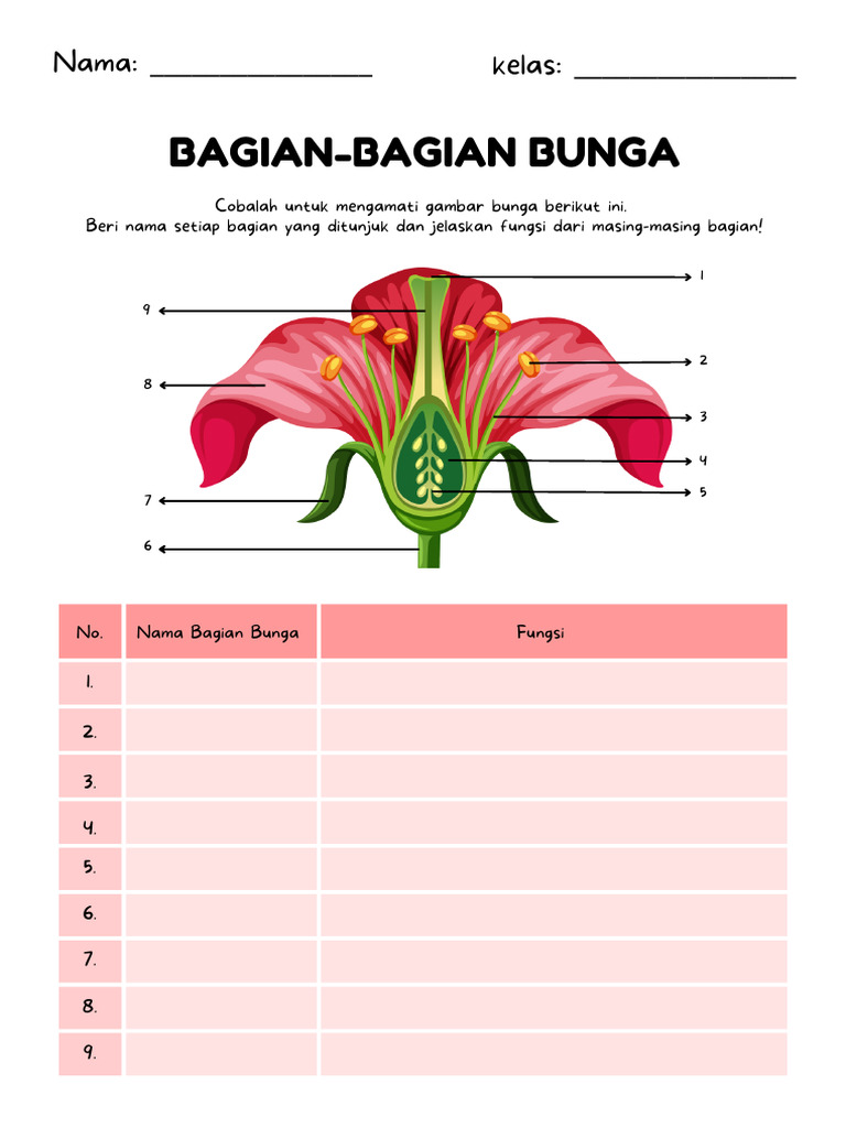 Lembar Kerja IPA Bagian Bunga Merah Ilustratif | PDF